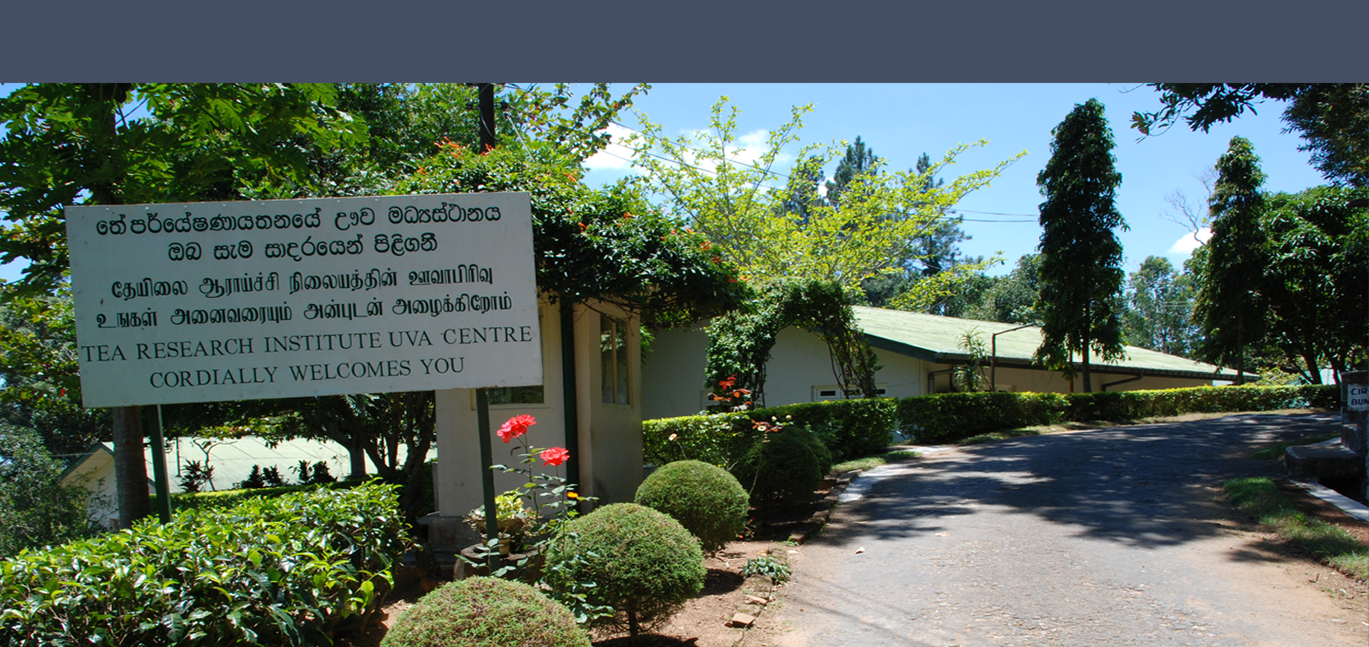 Tea Research Institute of Sri Lanka