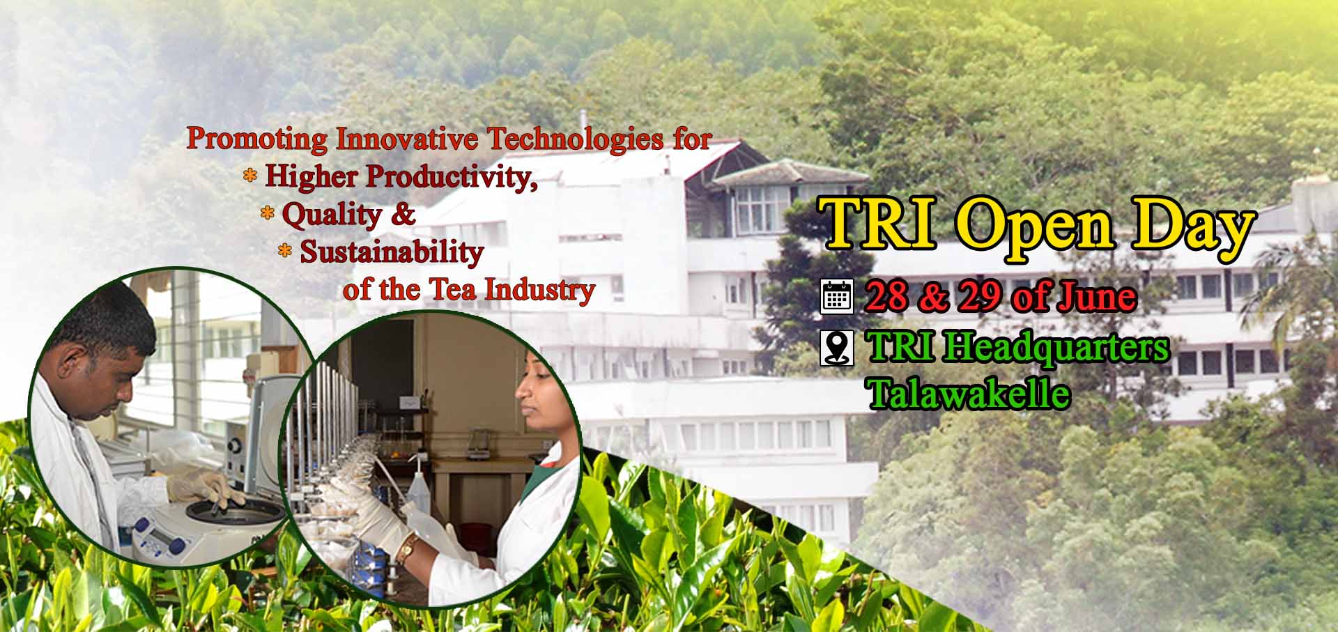 Tea Research Institute of Sri Lanka
