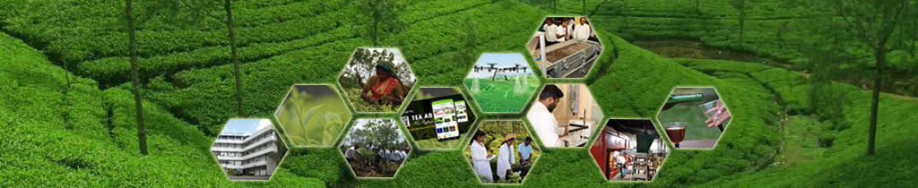 Tea Research Institute of Sri Lanka